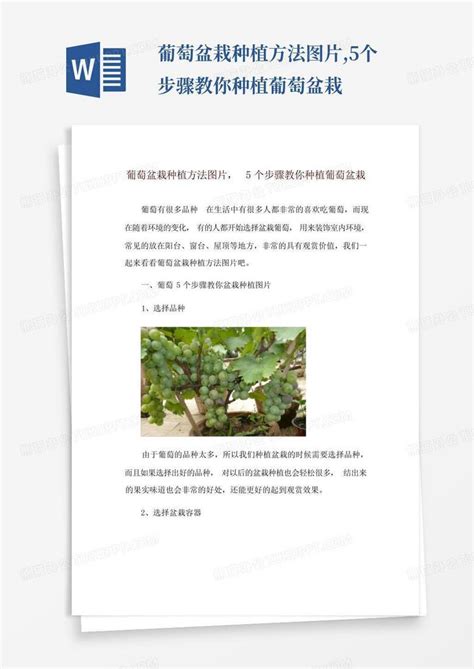 葡萄盆栽种植方法图片 5个步骤教你种植葡萄盆栽Word模板下载 编号lxgbxgdn 熊猫办公