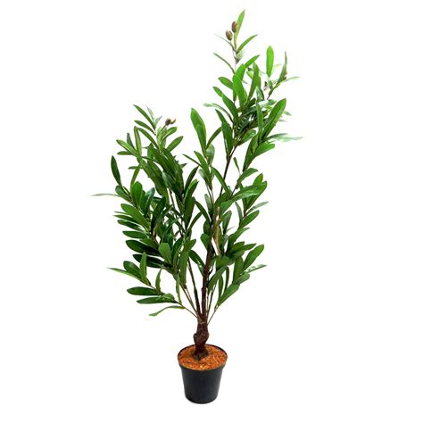 Gl 80 At Source South Africa Imported Artificial Plants