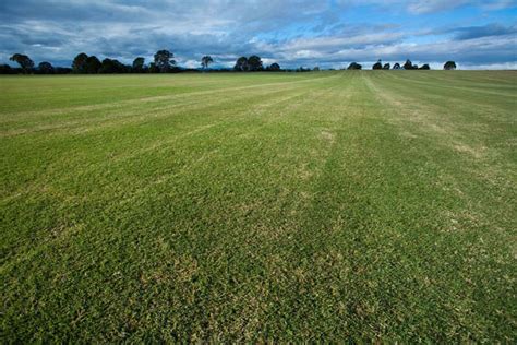 Our Turf Farms Tinamba Turf