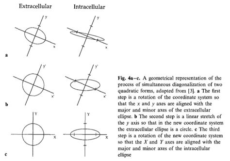 Intermediate Physics For Medicine And Biology Unequal Anisotropy Ratios