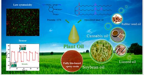 Synthesis And Characterization Of Fully Biobased Epoxy Elastomers