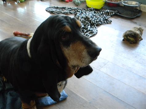 Riley Ruby Andmaggie Added A New Photo Riley Ruby Andmaggie