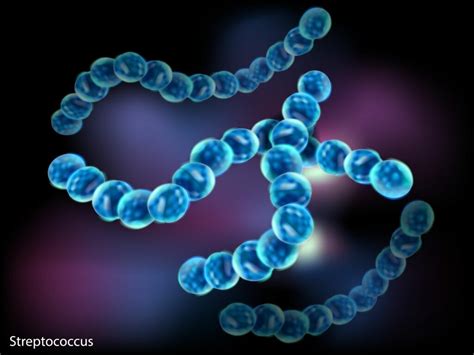 Group A Streptococcus Pediatric Medical Experts