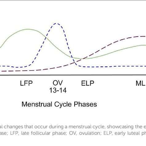 A Schematic Figure Highlighting The Impracticality Of Planning Greater Download Scientific