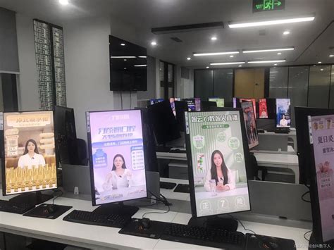 从“化身”到“独有”：数字人如何赋能电商直播？ 数字人与直播电商可以开展哪些研究 csdn博客