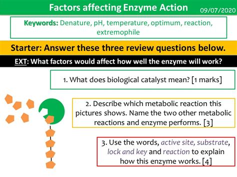 Factors Affecting Enzyme Action Teaching Resources