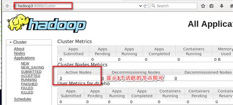 hadoop集群搭建（七）：hadoop启动服务，开启各节点进程 查看hadoop 3个节点启动进程成功 csdn博客