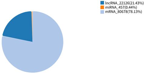 The Number Of Each Type Of Rna Was Counted Download Scientific Diagram
