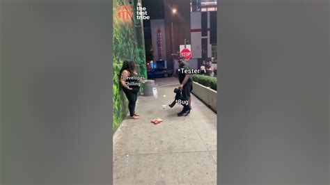 On A Bug Squashing Mission 😂 Softwaretesting Memes Memesdaily Youtube