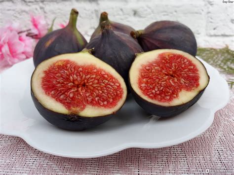 Фрукты Инжир фига фиговое дерево смирнская ягода винная ягода