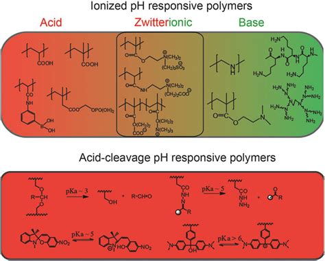 Representative Ph Responsive Polymers Download Scientific Diagram