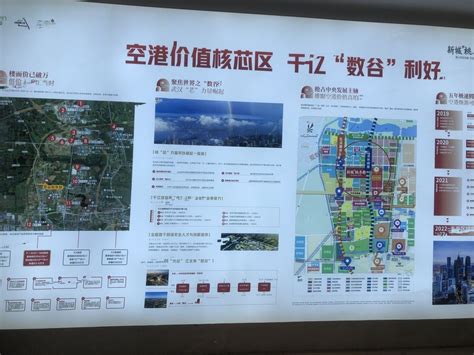 新城桃李郡实景图30武汉新城桃李郡实景图图片大全 吉屋网
