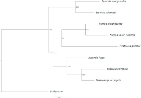 Phylogenetic Bayesian Tree Using Bp COI EF Posterior Download Scientific Diagram