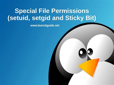 Special File Permissions Setuid Setgid And Sticky Bit Special