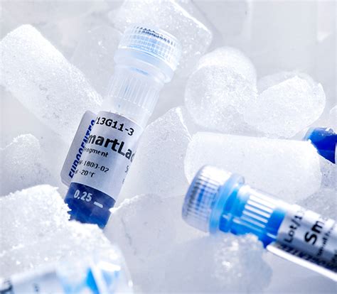 Dna Molecular Weight Smart Ladder Eurogentec