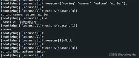 Linux 学习笔记（3） —— Shell 批处理脚本以及字符串的处理linux 批处理 Csdn博客