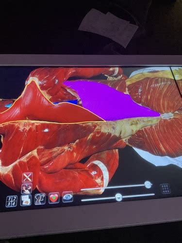 Week 1 Lab Flashcards Quizlet Week 1 Lab Flashcards Quizlet