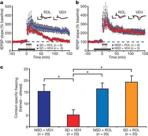 The Pde4 Inhibitor Rolipram Rescues Ltp And Memory Deficits Caused By Download Scientific