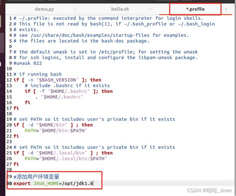 Linux脚本和环境变量linux 脚本加入环境 Csdn博客