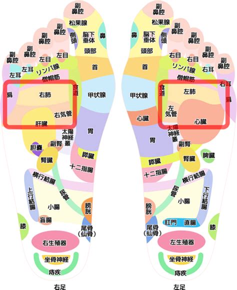 喘息足つぼ ぶっちゃけ鍼灸師の人に教えたくなるツボ