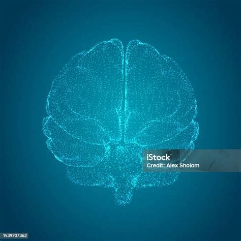 3d 벡터 사이버 두뇌 신경망 메가 데이터 처리 템플릿 인터페이스 디자인 뇌에 대한 스톡 벡터 아트 및 기타 이미지 뇌 별 모양 점박이 Istock