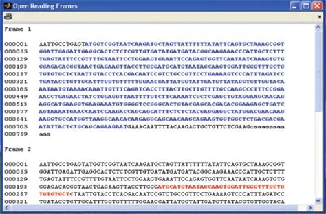 Open Reading Framework Orf Options For Murdr1h Sequence In Matlab Download Scientific Diagram
