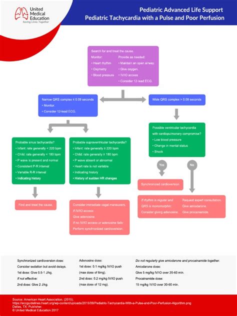 Pals Tachycardia Algorithm Pdf