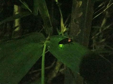 【奈良の桜】広大な古墳群を16種類の桜が彩る『馬見丘陵公園』（広陵町／河合町） 奈良の地域密着型・総合情報サイト Narakko （奈良っこ）