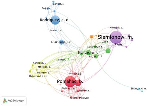 Vosviewer Co Authorship Map Download Scientific Diagram