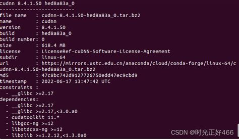 Linux虚拟环境安装cuda、cudnn、pytorch虚拟机安装cuda Csdn博客