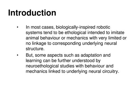 In The Name Of God Biomodelling Seminar A Multi Level Modelling Approach To Biologically