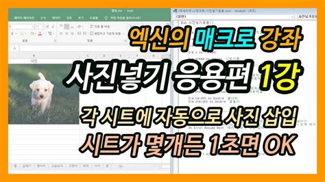 엑셀이뭐니 매크로 시트이름의 사진넣기 1강구독자 질문 이미지 삽입폴더선택엑셀 매크로 강의vba 기초 Youtube