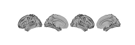 Tutorial 4 Layouts And Views — Surfplot 010 Documentation