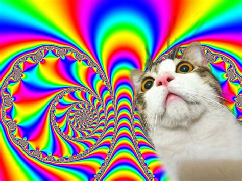 Javascript Ep1 Event Loop♻️ ຫ່າງຫາຍໄປດົນສົມຄວນ By Phatsss