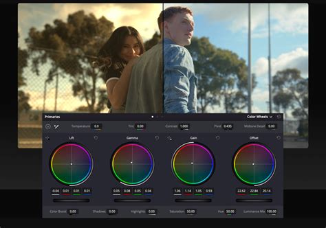 How To Copy Color Grade In Davinci Resolve Step By Step Hollyland
