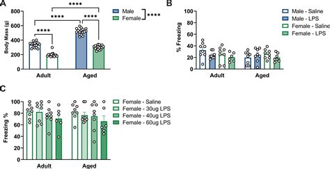Sex Differences In Microglia Function In Aged Rats Underlie Vulnerability To Cognitive Decline Pmc