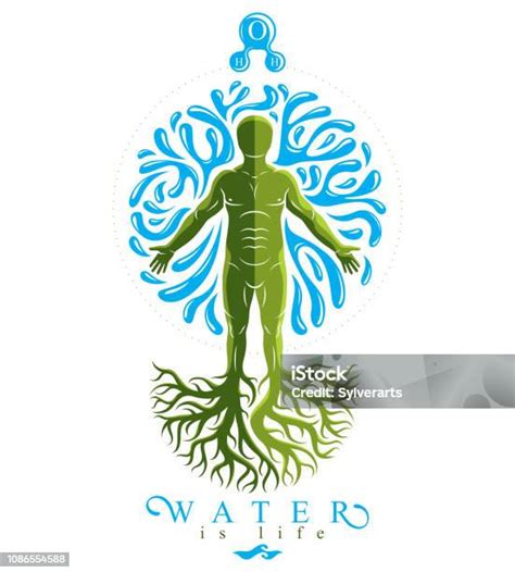 근육 질의 인간 개인의 벡터 그래픽 그림 나무 뿌리로 만든 고 물 공을 의해 둘러싸여 인간의 물 비유를 보유합니다 개념과 주제에