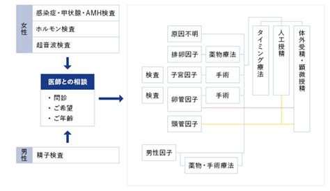 不妊治療の流れとは｜不妊治療を始めるタイミングや費用についても解説 不妊治療は東京渋谷区のはらメディカルクリニック