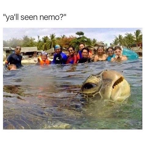 Yall Seen Nemo Funny