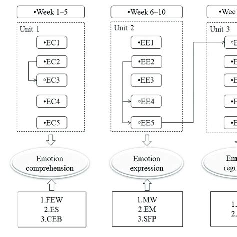 Description Of The Ecl Course Stages Functions And Their Durations Download Scientific Diagram