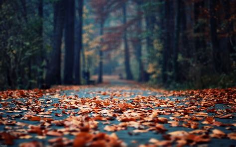 Photography Tumblr Wallpapers Wallpaper Cave