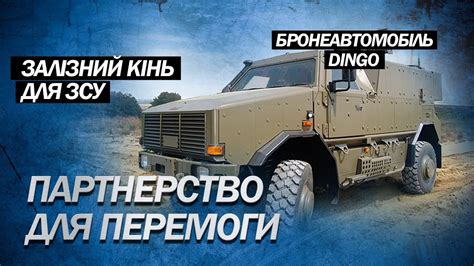 СПРАВЖНІЙ ЗВІР Dingo вже змінює правила гри на фронті Youtube