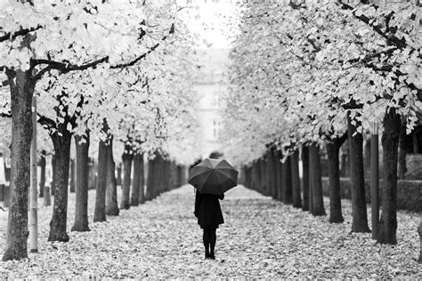 Martin Gommel Teffy Tc Blog On Tumblr