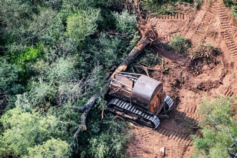 Fundación Greenpeace Argentina Inundaciones Sin Control Por Qué La