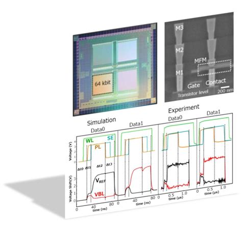 Thomas Mikolajick On Linkedin 1t1c Feram Memory Array Based On Ferroelectric Hzo With Capacitor