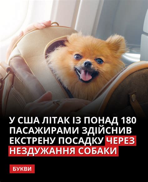 Букви Bykvu Днями «1 1 Україна транслював торішній новорічний випуск «Вечірнього кварталу