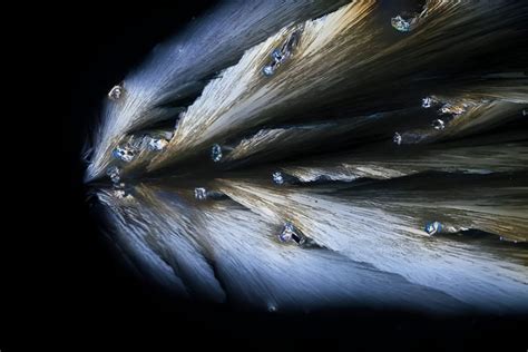 35 Facts About Sodium Arsenate