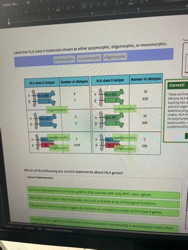 Immunology Exam 2 Flashcards Quizlet
