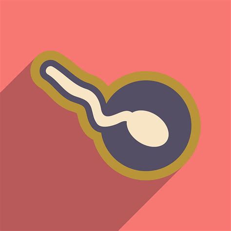 Flat Icon With Long Shadow Sperm And Egg Vector Eps Ai Uidownload