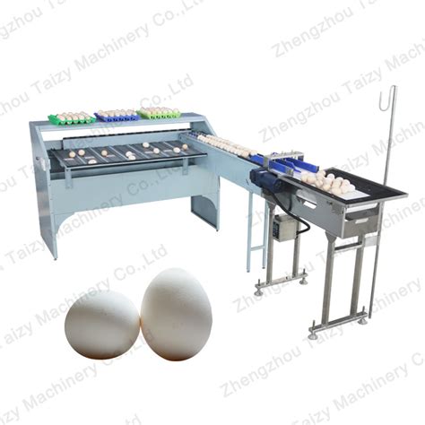 Egg Cleaning Sorting Machine Small Egg Grader Commercial Egg Grading Machine Egg Sorting